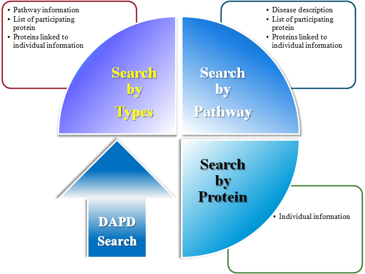 Diabetes Associated Proteins Database (DAPD)