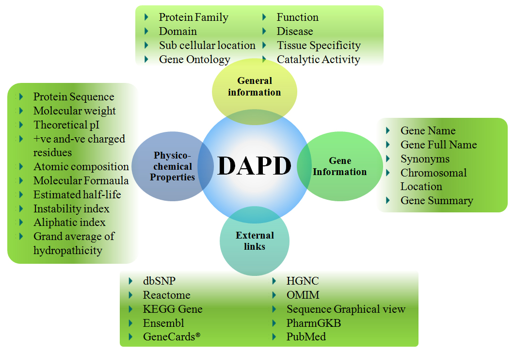 Diabetes Associated Proteins Database (DAPD)